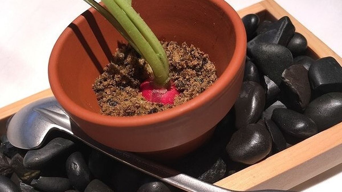 Vv - Restaurant Guide - TableCheck