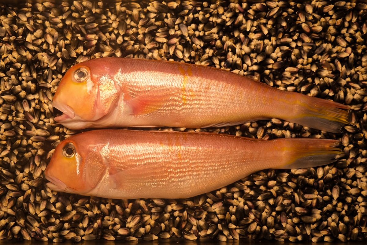 TACOS BAR - Restaurant Guide - TableCheck