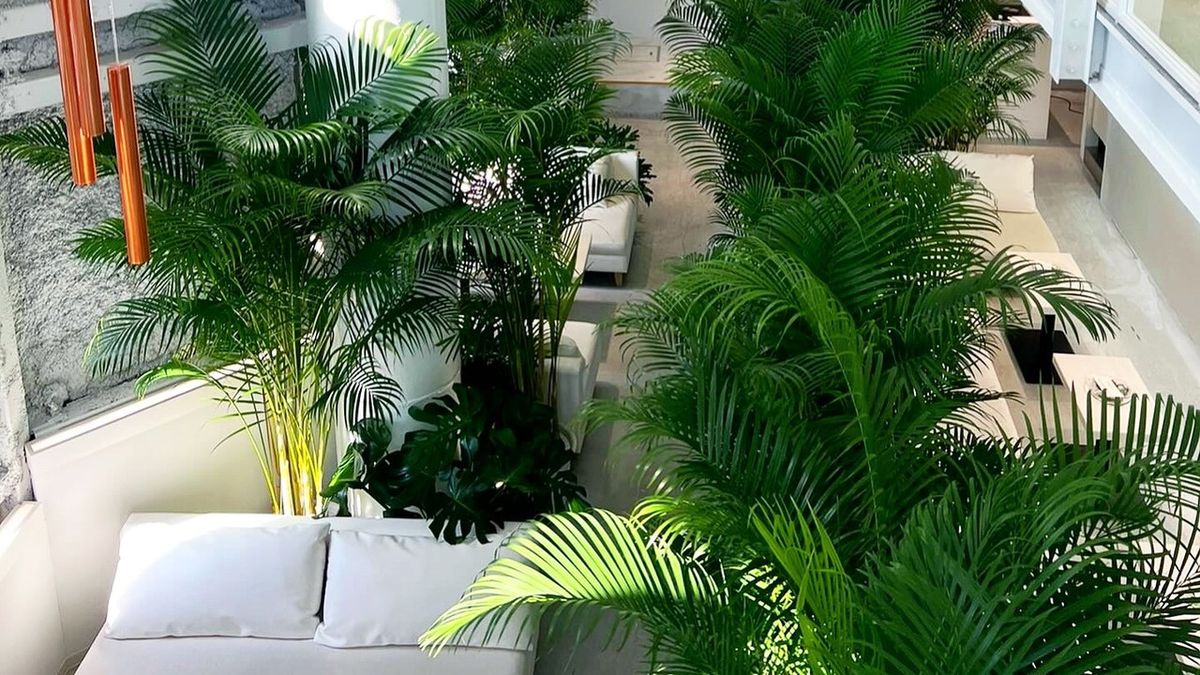 inception - Restaurant Guide - TableCheck