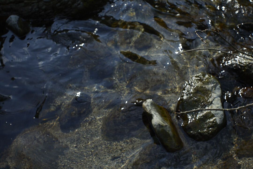 KOKI - Restaurant Guide - TableCheck